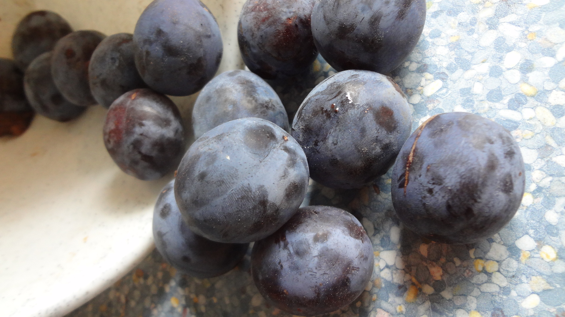 Pflaume, Zwetschke – Adeles Naturblog